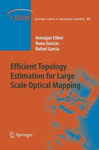 Efficient Topology Estimation for Large Scale Optical Mapping