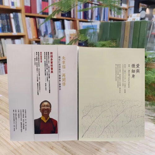 措尼仁波切《先幸福，再开悟》+爱与微细身 两本