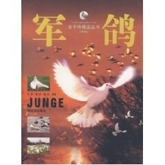 军鸽【好书，下单速发】