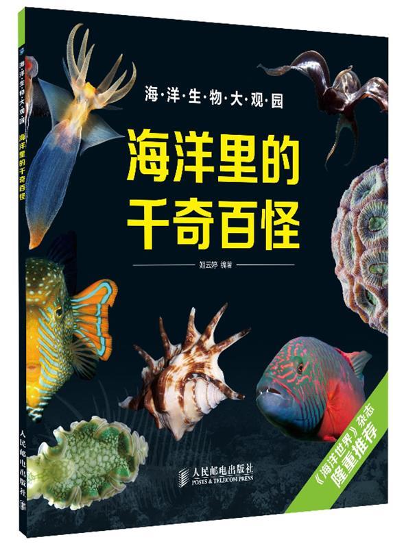 海洋里的千奇百怪 姬云婷 人民邮电出版社