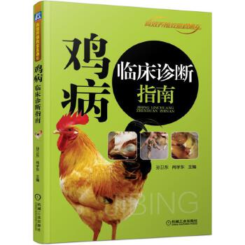鸡病临床诊断指南 机械工业出版社 9787111538714 孙卫东