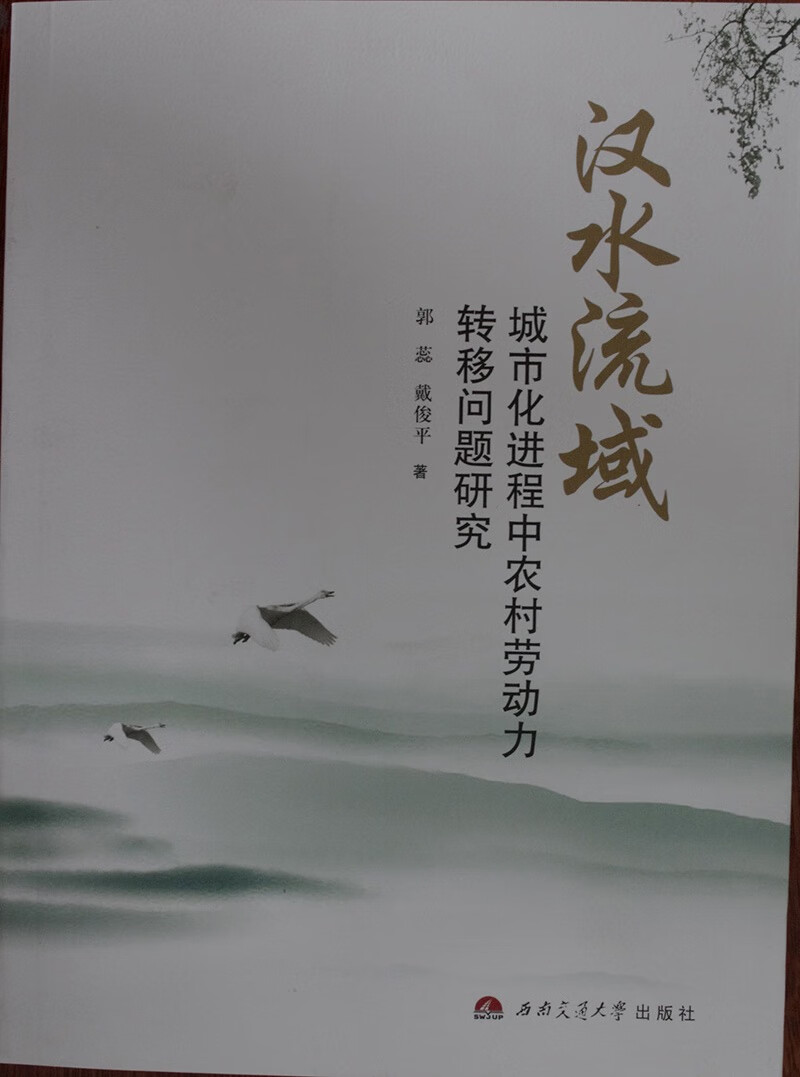 汉水流域-城市化进程中农村劳动力转移问题研究