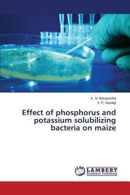 Effect of Phosphorus and Potassium Solubilizing