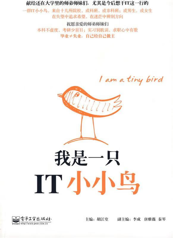 我是一只IT小小鸟【好书，下单速发】