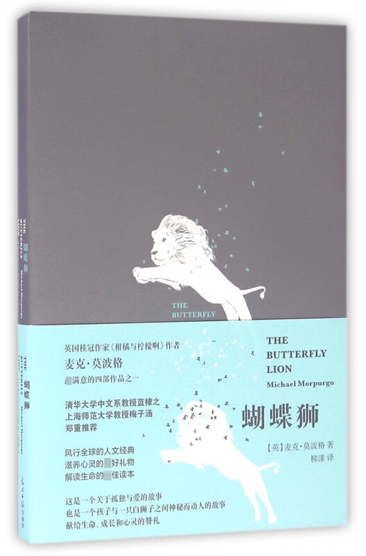 蝴蝶狮