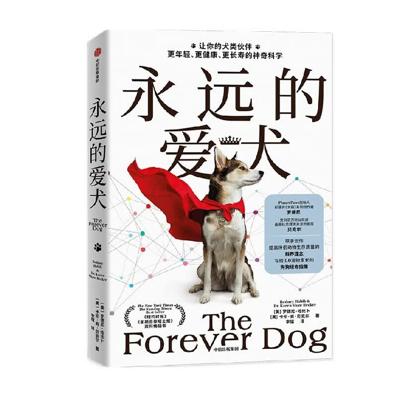 永远的爱犬罗德尼B7哈比卜等