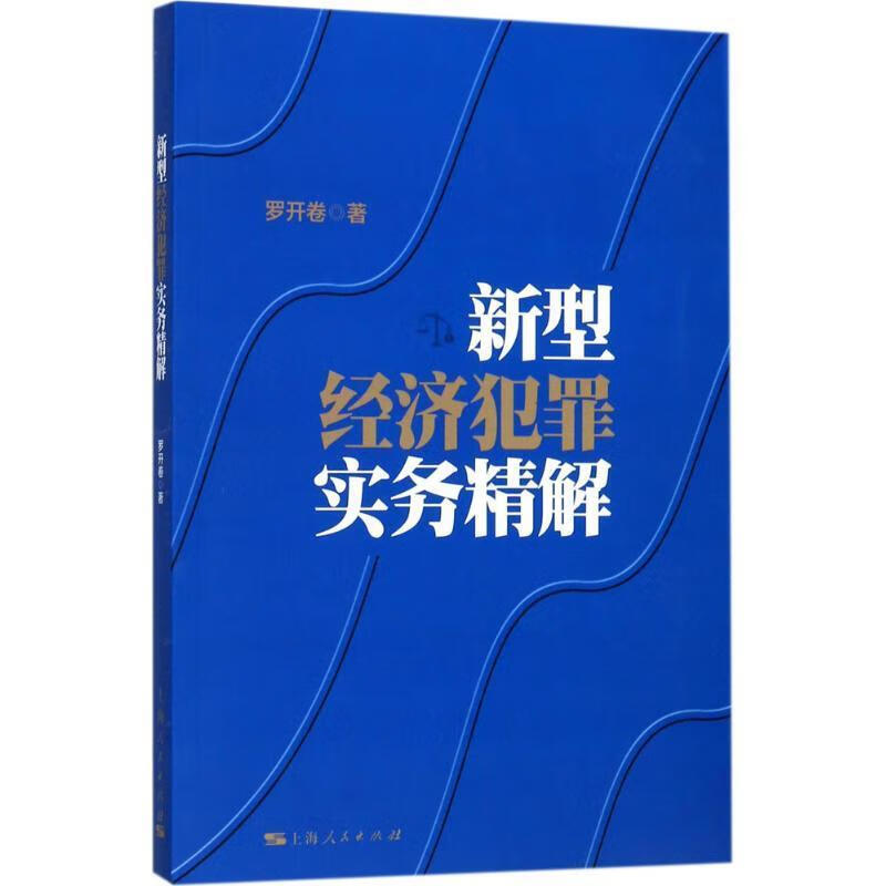 新型经济犯罪实务精解 上海人民出版社