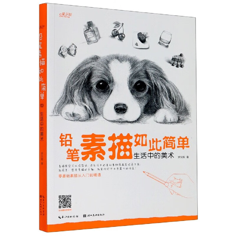 铅笔素描如此简单(生活中的美术)