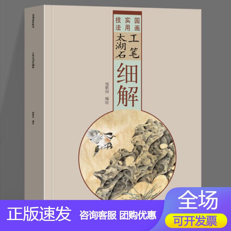 n工笔太湖石细解国画实用技法工笔画底稿白描画稿画谱工笔画临摹画册画集作品集工笔白描细解国画入门初学技