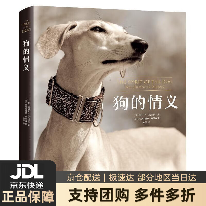 【 送货上门】狗的情义