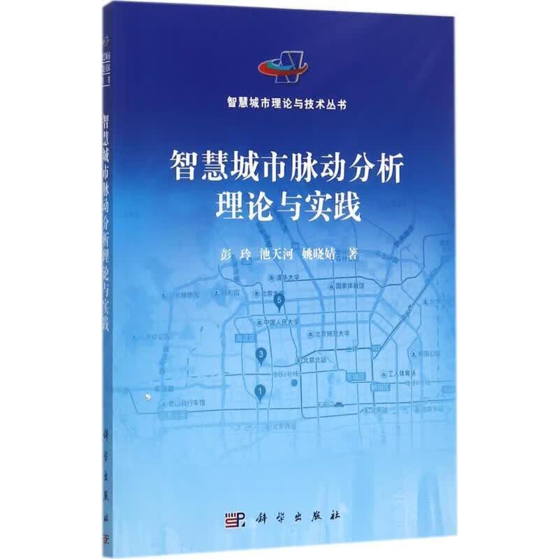 智慧城市脉动分析理论与实践