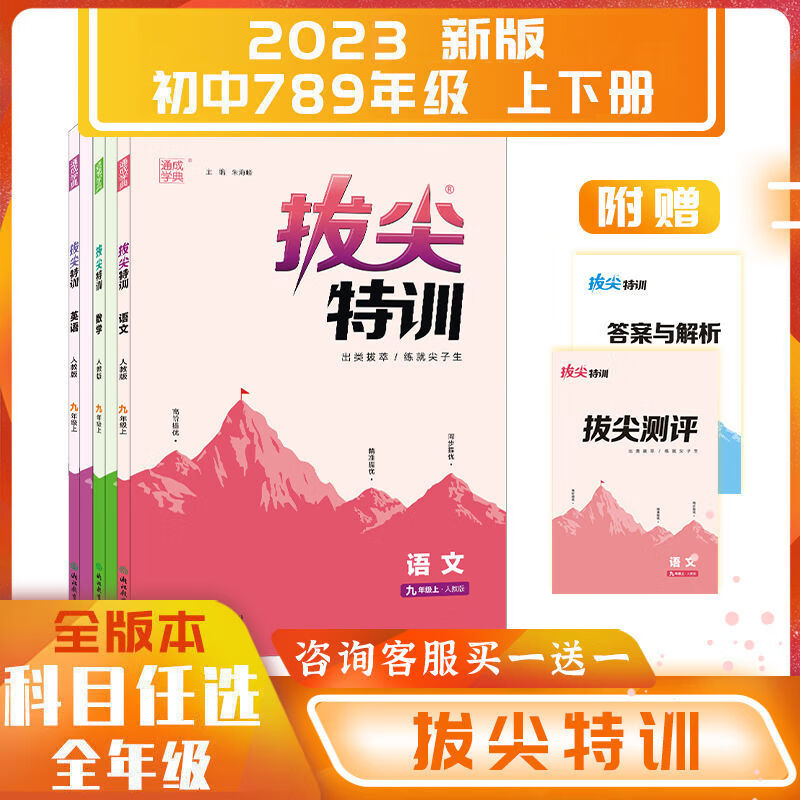 2024版拔尖特训七八九年级上下册数学英语语文物理化学初中同步练 九年级全一册 物理【人教】