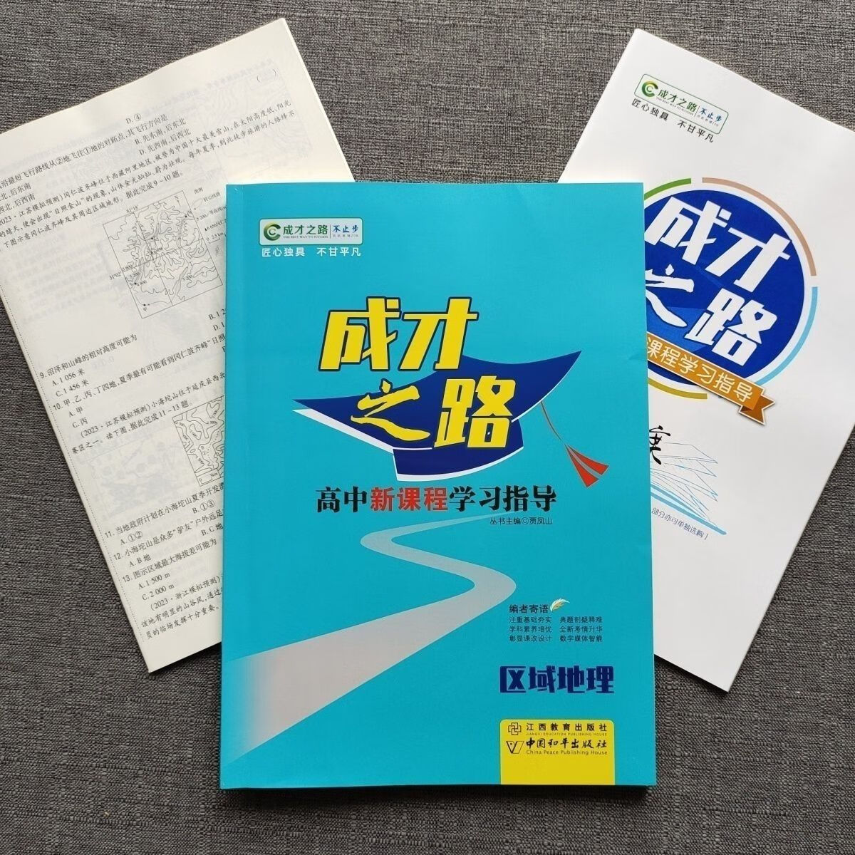 2024 成才之路 新学习指导 区域