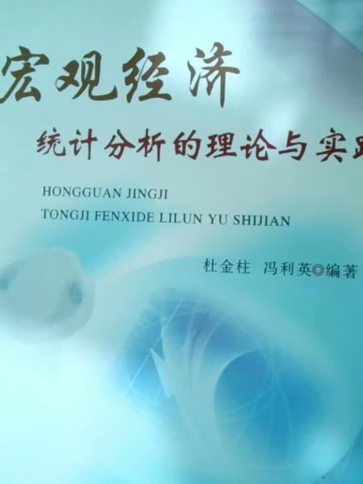 宏观经济统计分析的理论与实践