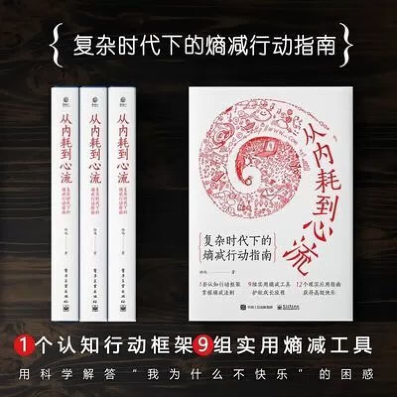 【现货速发】从内耗到心流:复杂时代下的熵减行动指南易经母 从内耗到心流:复杂时代下的熵