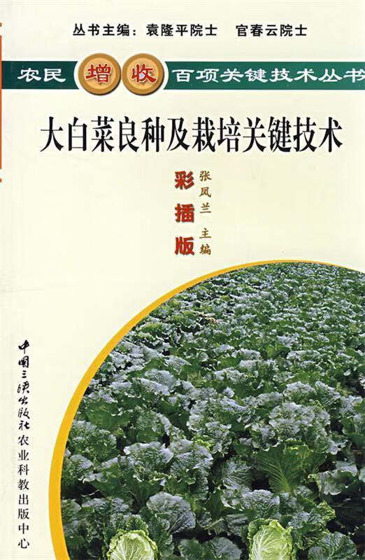 大白菜良种及栽培关键技术
