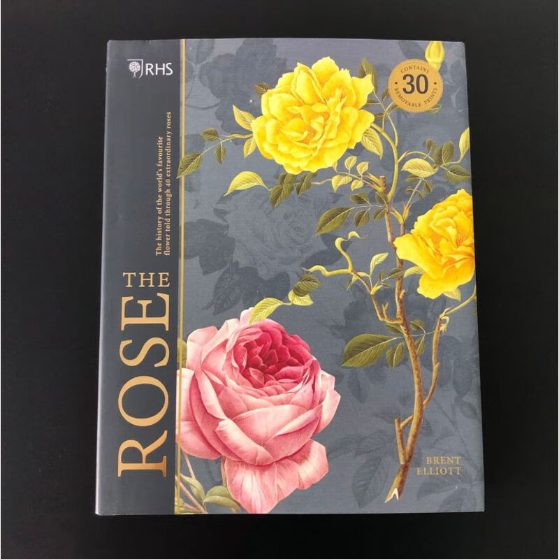现货 玫瑰花全彩绘画图鉴RHS The Rose 英文