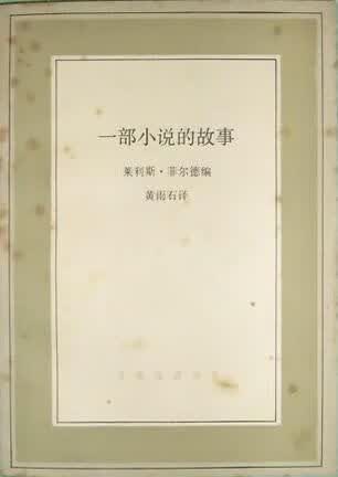 一部小说的故事 菲尔德