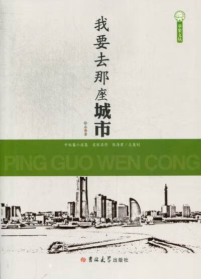 我要去那座城市 徐永 著