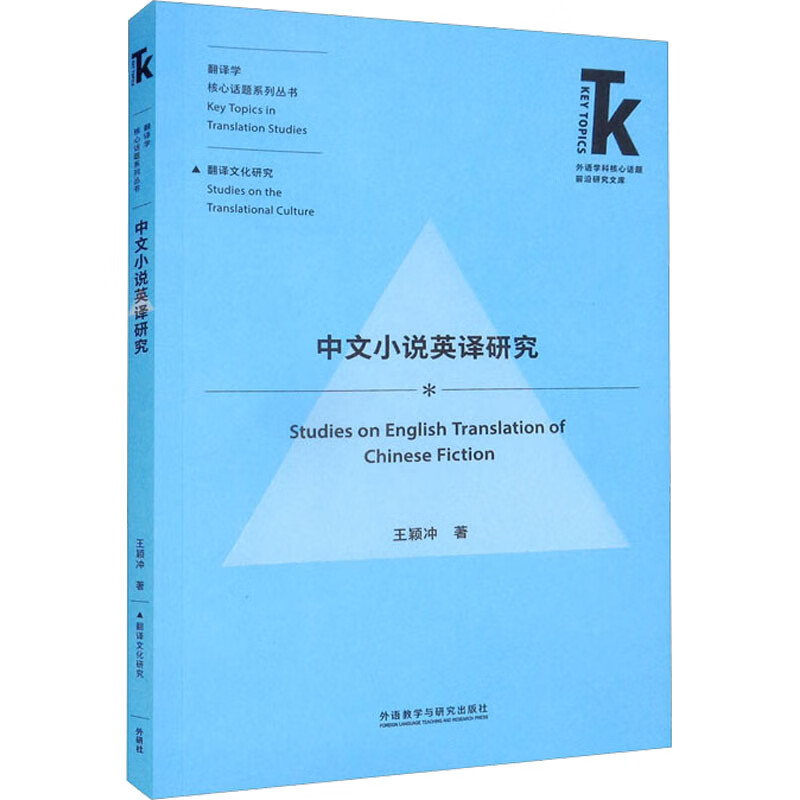 中文小说英译研究