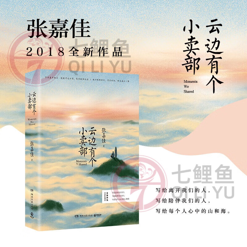 云边有个小卖部 张嘉佳
