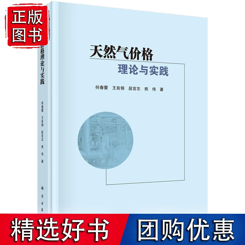 天然气价格理论与实践