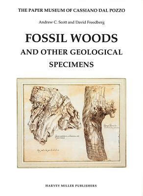 The Paper Museum of Cassiano Dal Pozzo: Fossil