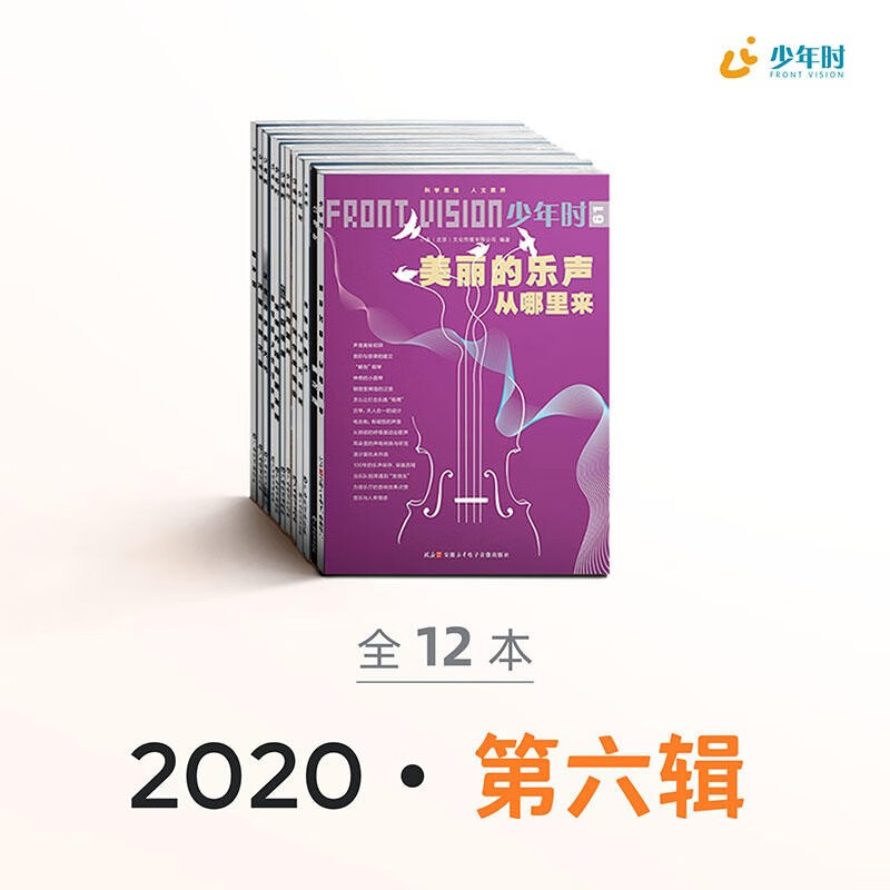 少年时 杂志 第六辑（2020年全年珍藏）共12期
