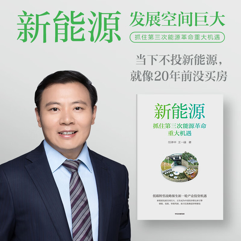 新能源 任泽平 王一渌 著 经济