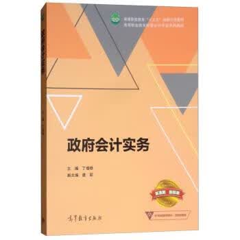 政府会计实务 丁增稳,唐丽 高等教育出版社