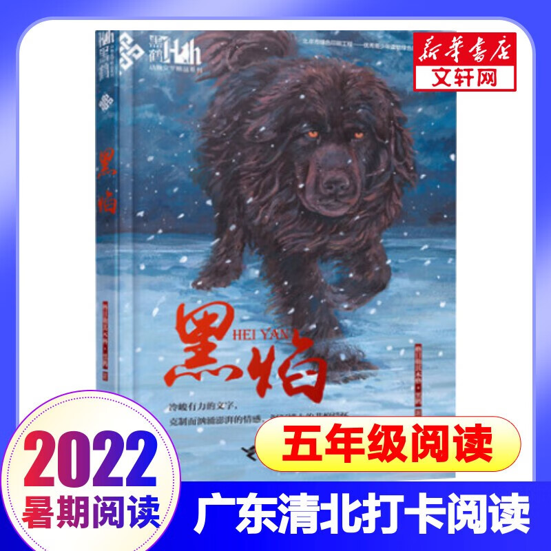 【2023年寒假阅读】朝阳读书 广东清北阅读 小学生五年级 开学阅读推荐书单儿童文学 黑焰（插图版）