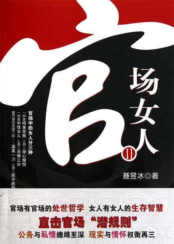 官场女人 聂昱冰【书】