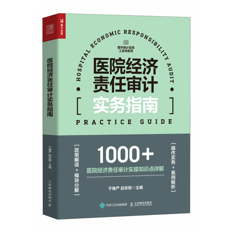 医院经济责任审计实务指南（人邮普华出品）