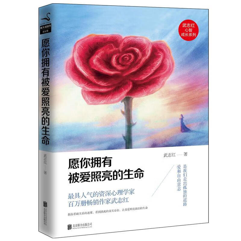 愿你拥有被爱照亮的生命 武志红著【书】