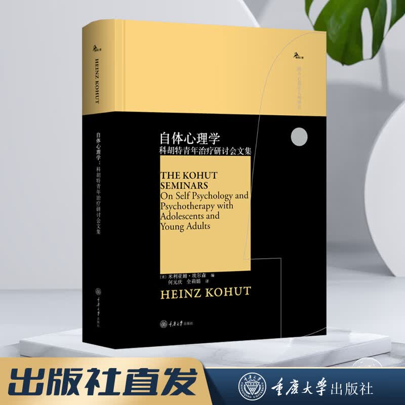 温尼科特的语言 对温尼科特关键术语的回顾与整理 母婴关系 英国儿科医生精神分析师 咨询 儿童心理学书籍 重庆大学出版社 自体心理学
