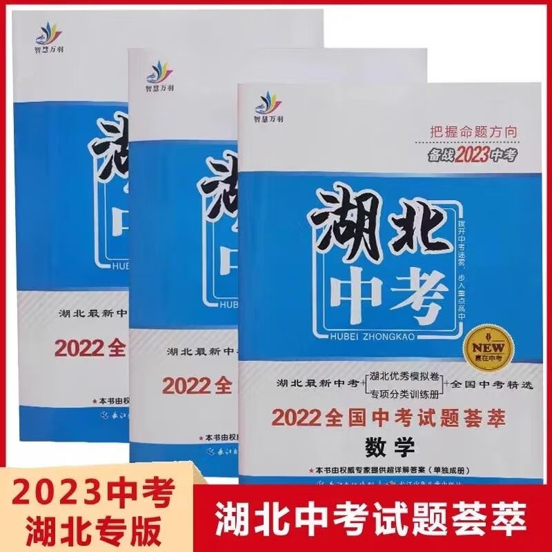 2023新版湖北版数学2022全国试题荟萃 数学