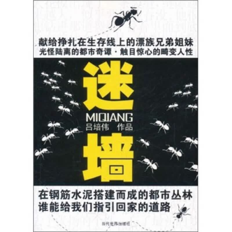 迷墙【好书】