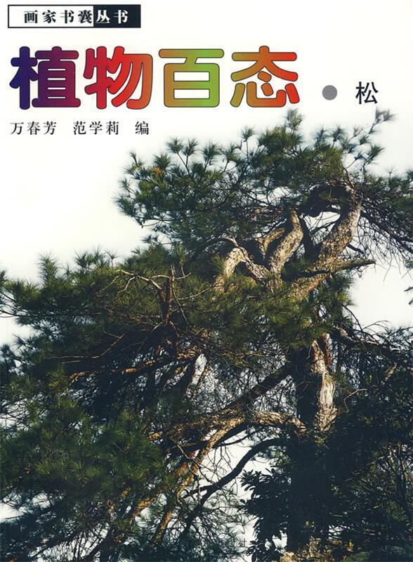 植物百态·松