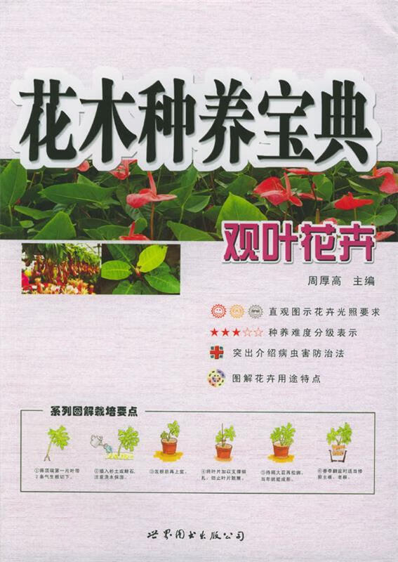 花木种养宝典:观叶花卉