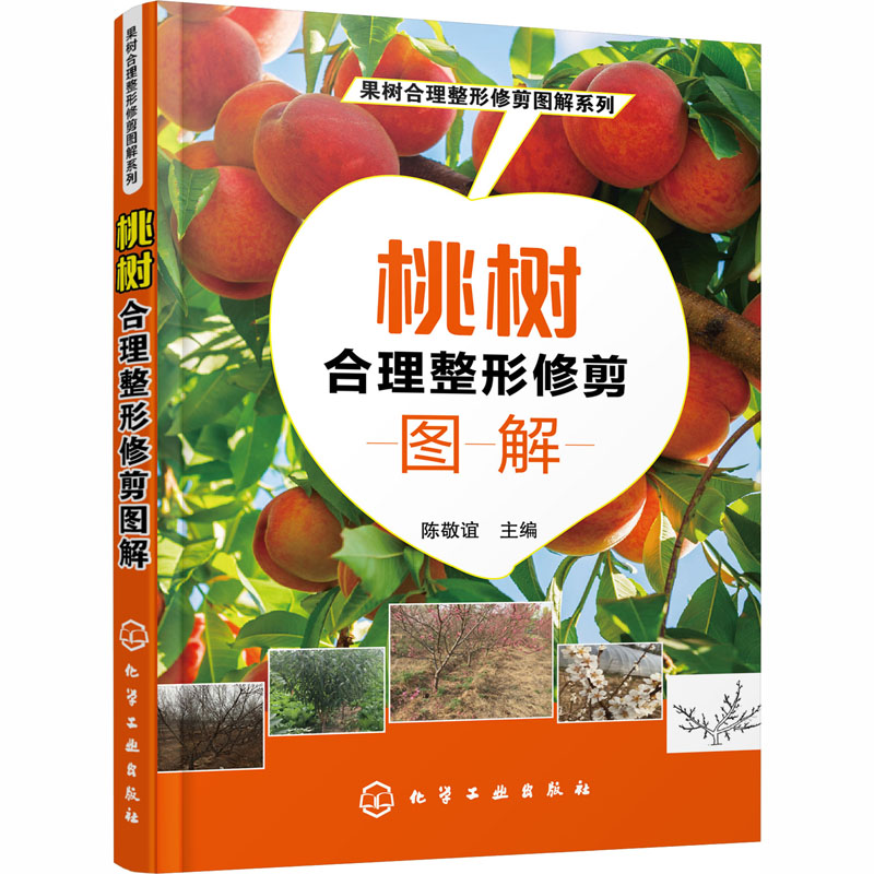 桃树合理整形修剪图解