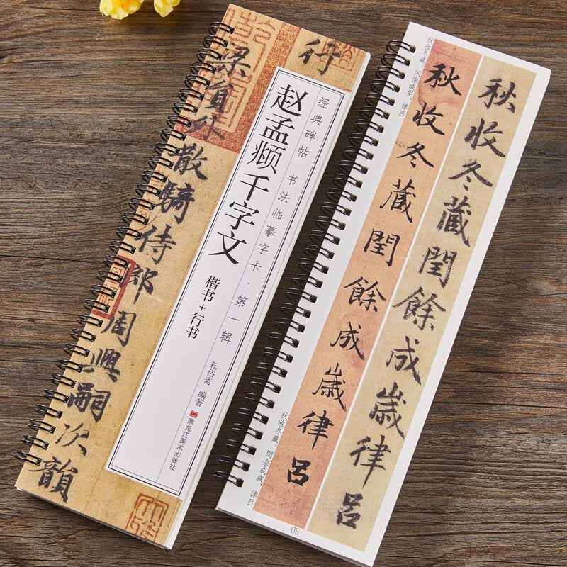 赵孟俯行书楷书千字文书法毛笔字帖元赵孟頫赵体经典碑帖书法临摹字卡原大版墨迹本成人学生近距离临帖卡附简体旁注