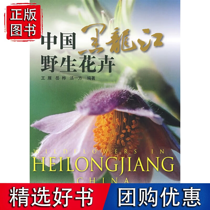 中国黑龙江野生花卉