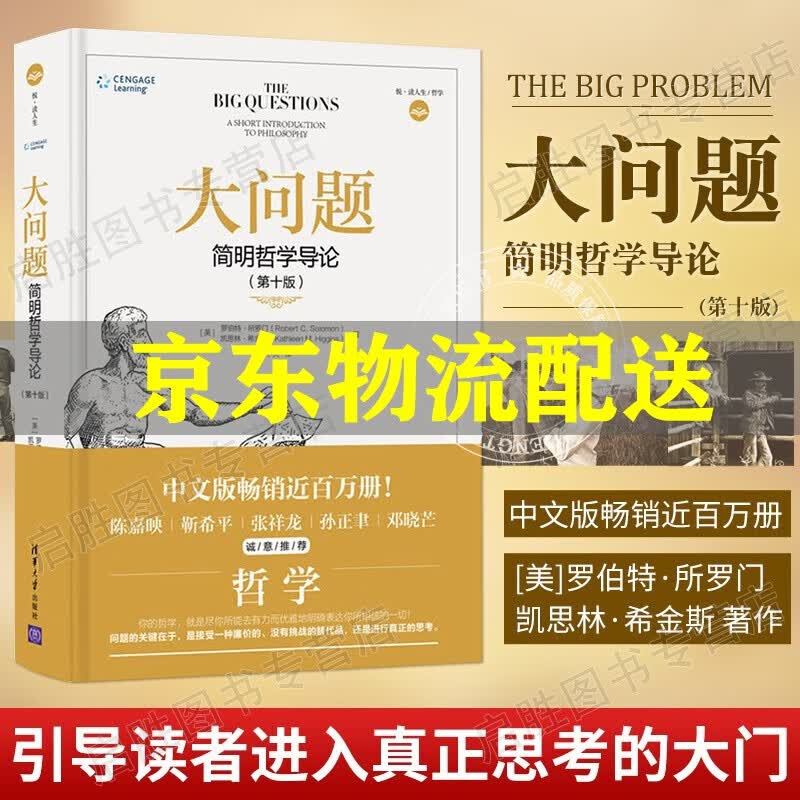 大问题 简明哲学导论第十版罗伯特所罗门好读外国西方哲学类史入门书籍经典再现哲学理论与流派生活的各种意义解决问题的三大工具