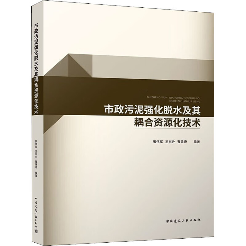 市政污泥强化脱水及其耦合资源化技术 图书