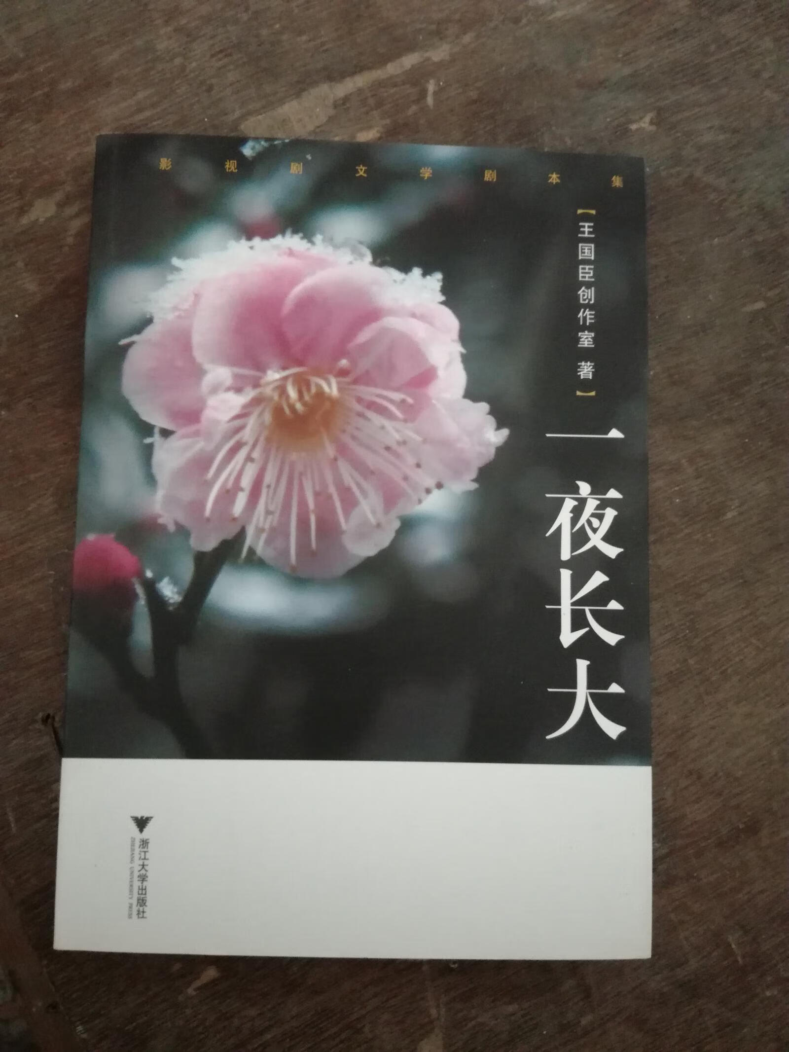 一夜长大【好书】