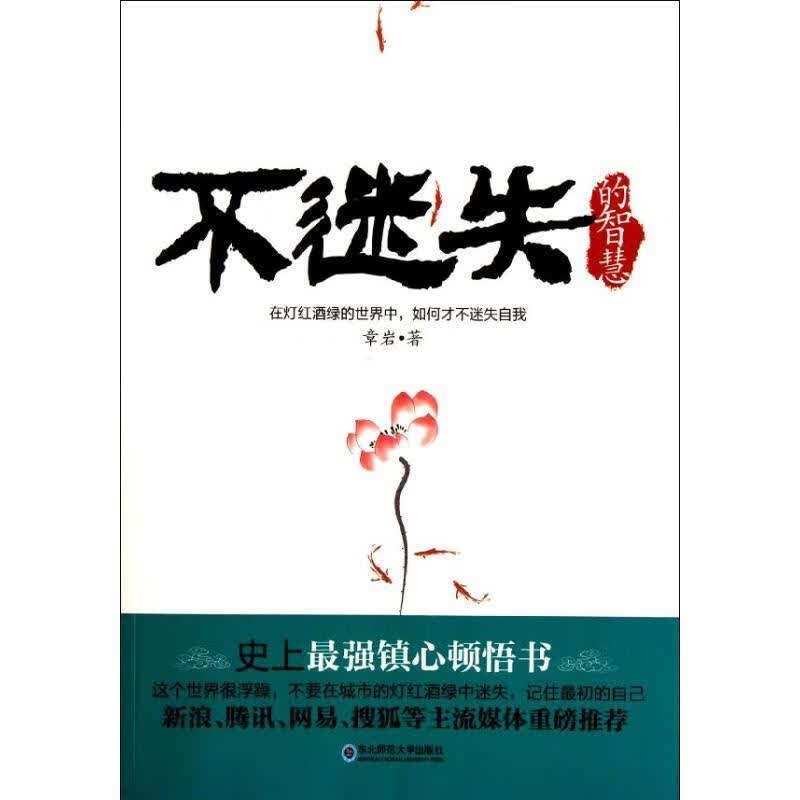 不迷失的智慧 章岩【书】