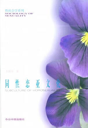 同性恋亚文化 李银河