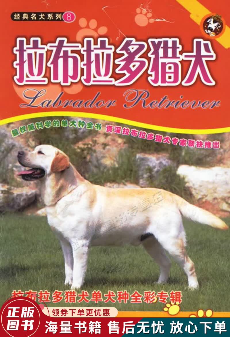 拉布拉多猎犬