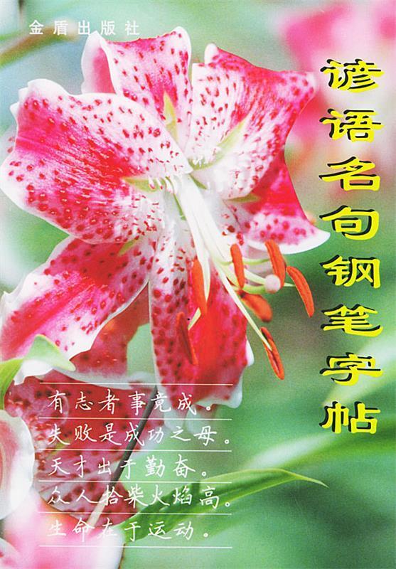 谚语名句钢笔字帖【好书，下单速发】