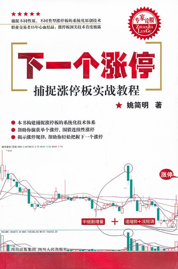 下一个涨停:捕捉涨停板实战教程